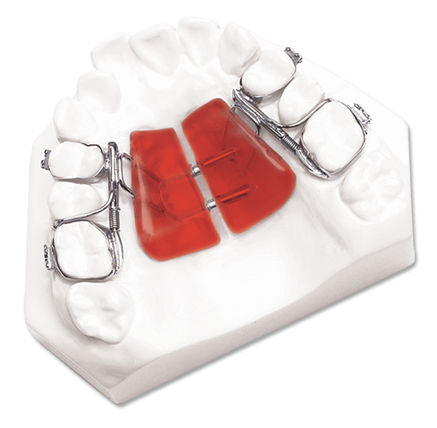 Fixed Orthodontic Appliances - DynaFlex