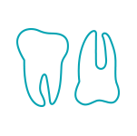 Smileshare - DynaFlex